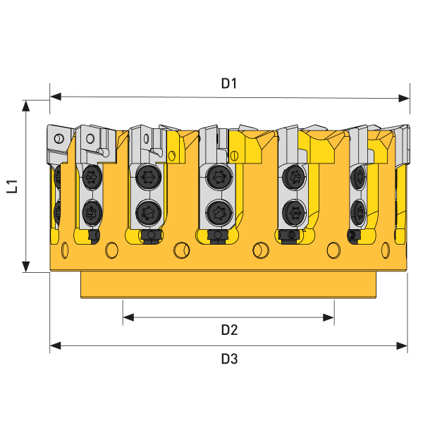 Cartridge milling cutter Ø125 Complete Set | DTS GmbH | DTS Diamond ...
