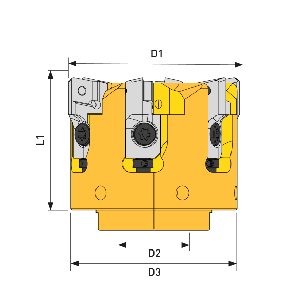 Cartridge milling cutter Ø63 Complete Set | DTS GmbH | DTS Diamond ...